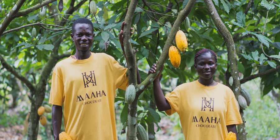 MAAHA CHOCOLATE | ONLINE SHOP